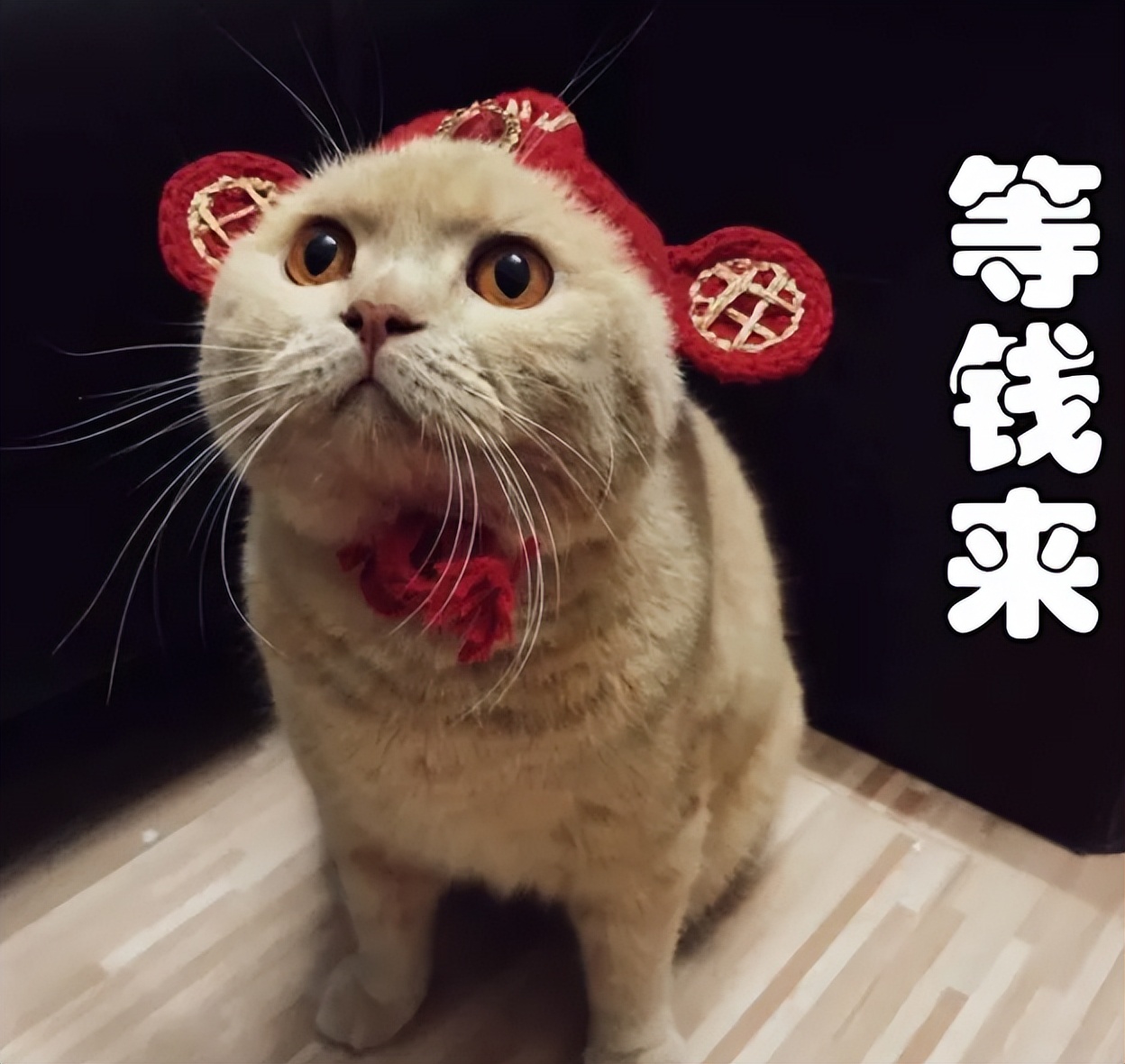 Why did Manuo, who once said "I would rather cry in a BMW than laugh in ...