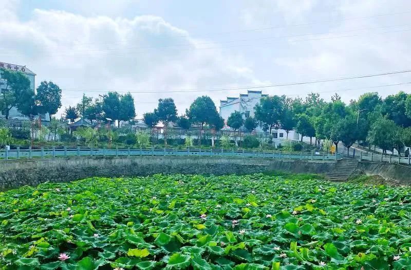 Wuxue Raowei City Village Makes Happiness Park a Beautiful Countryside - iNEWS