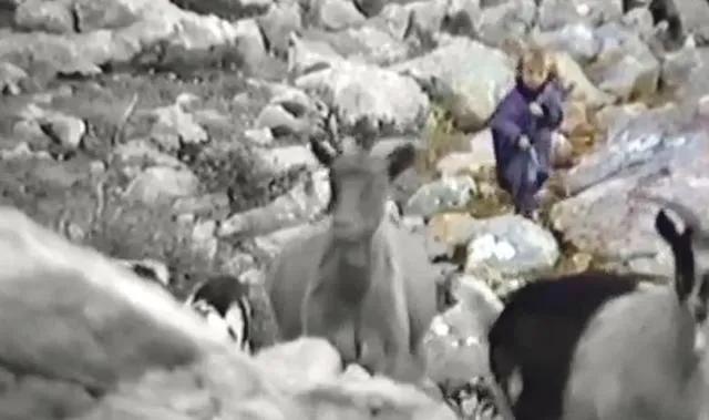 Football figure - Modric: From herding baby to the Golden Ball, the ...