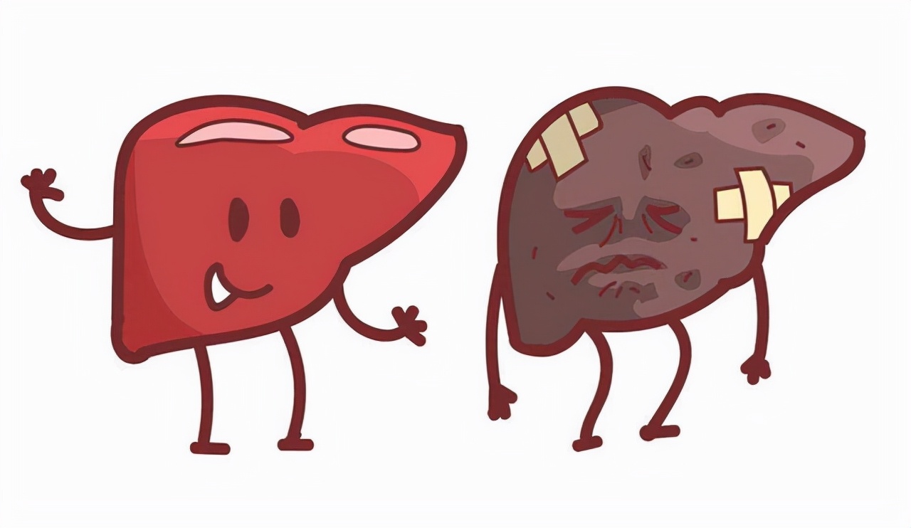 What changes will happen to the liver if you drink a bowl of mung bean ...