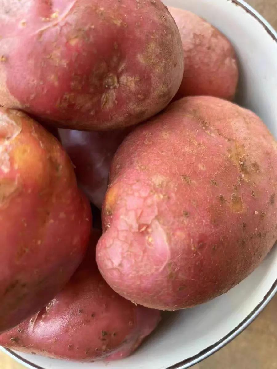 Are sprouted potatoes edible? - iNEWS