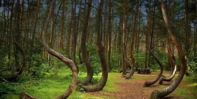 The 6 most mysterious phenomena in the world, each one is incredible ...