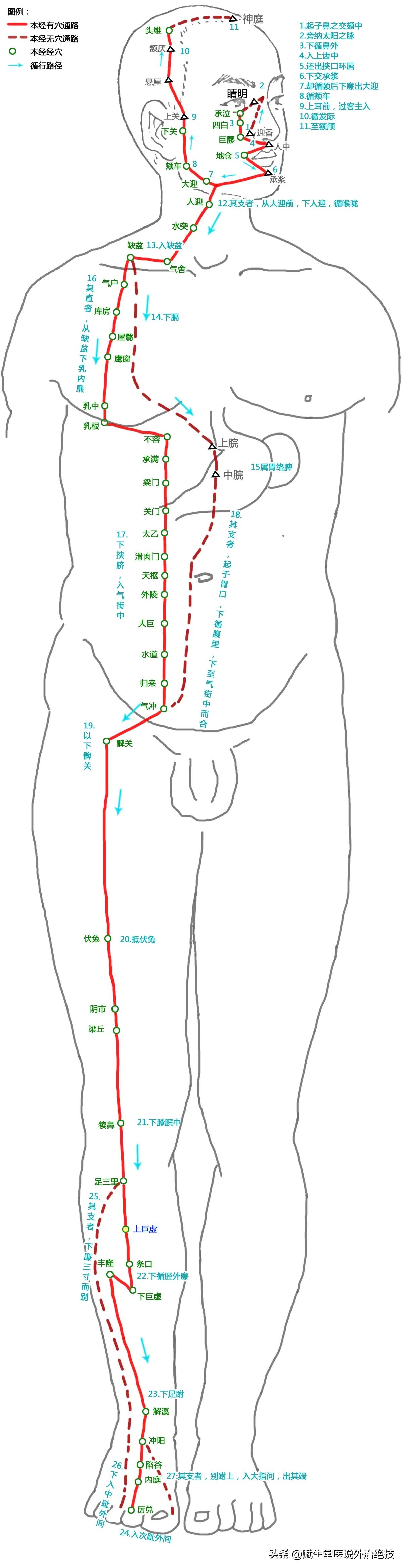 Key Points for Treating Intestinal Diseases - iNEWS