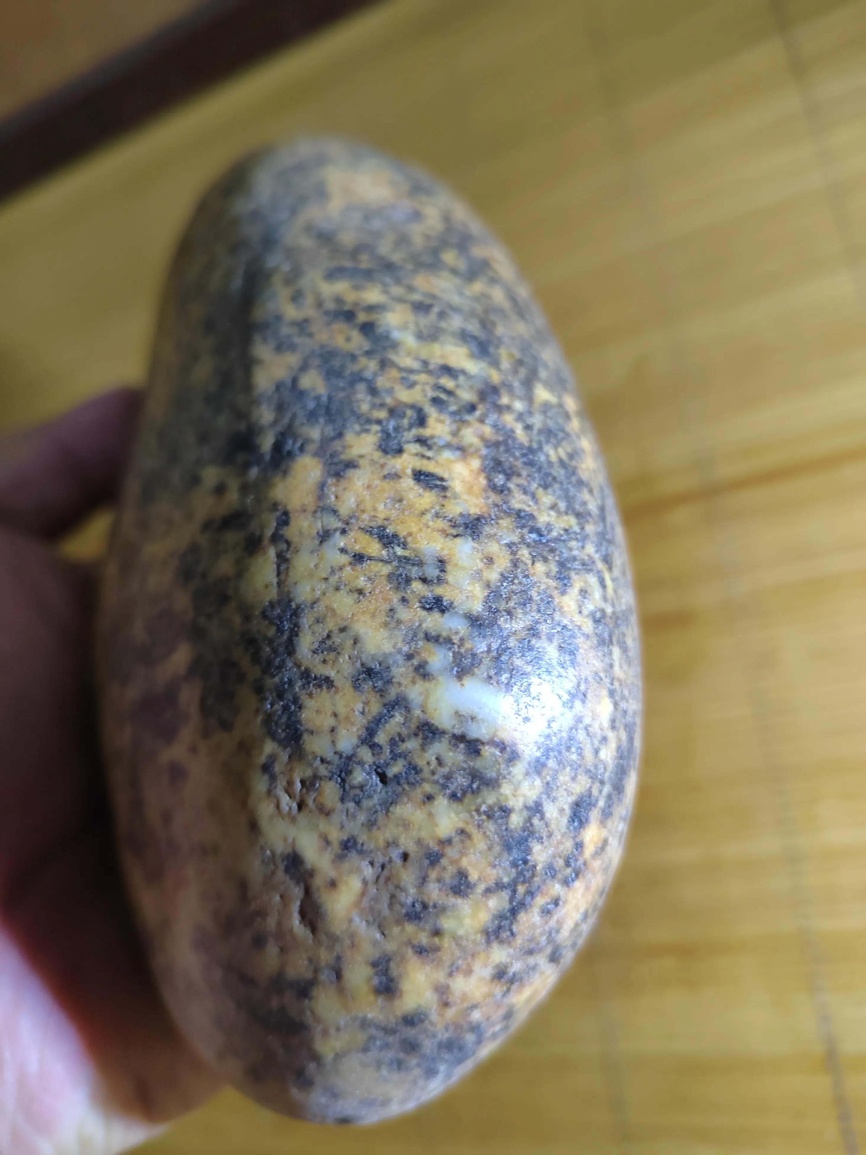 Tiger skin seeds produce the best suet - iNEWS