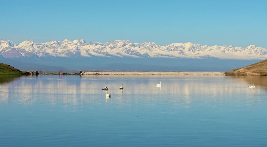 This early summer, save some time for Xinjiang! - iNEWS