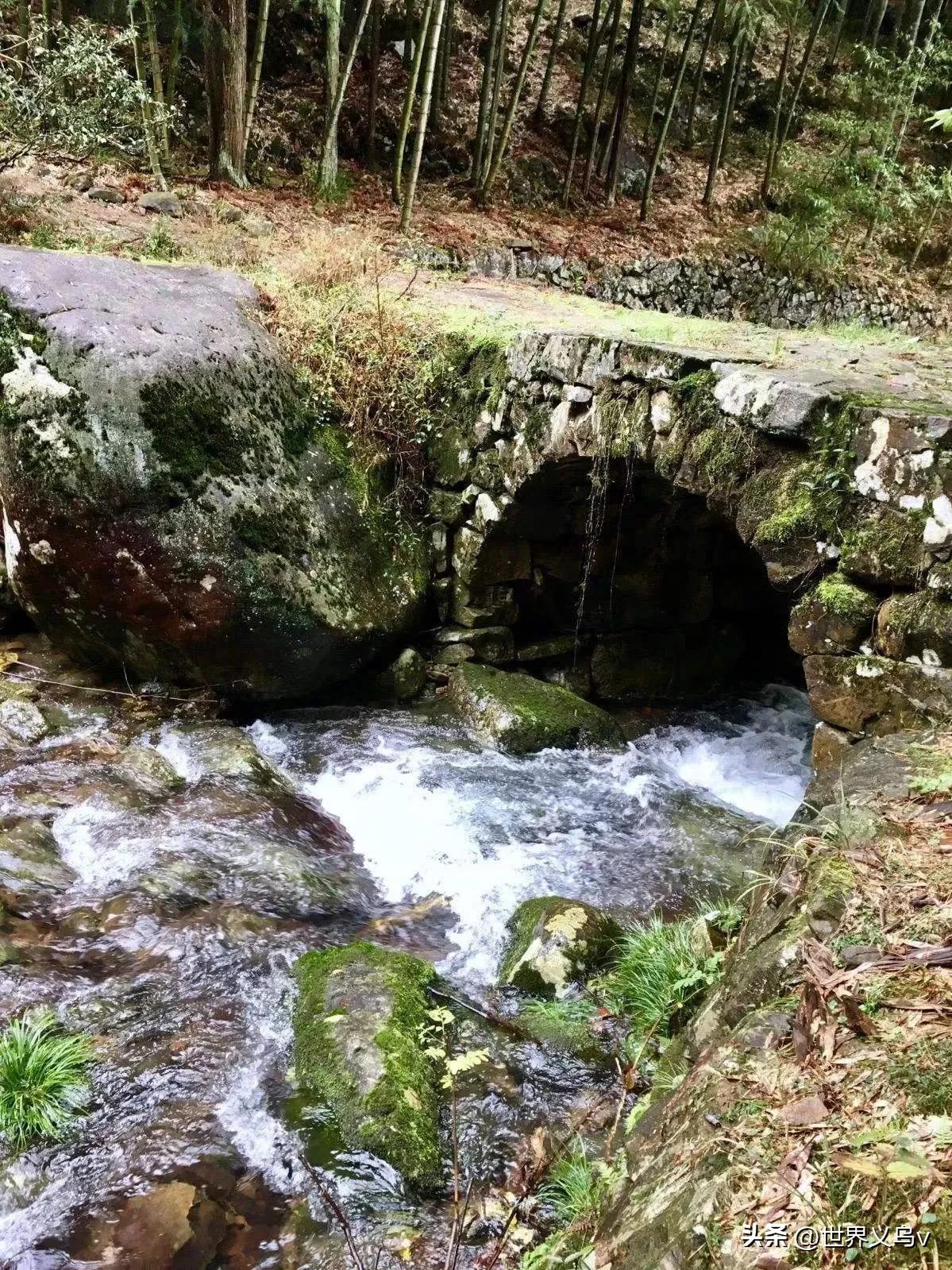 Jia Sheng's Poetry: After the Summer Rain in the Mountain Village - iMedia