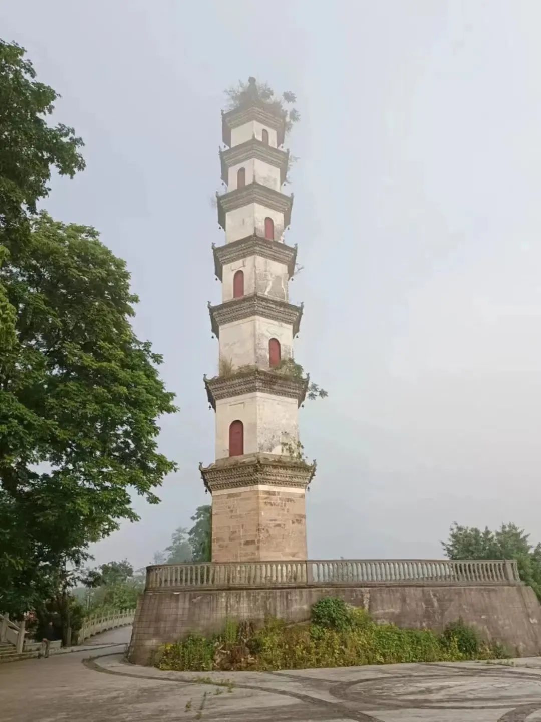 Millennium regret! That year, with a loud noise, the 200-year-old ...