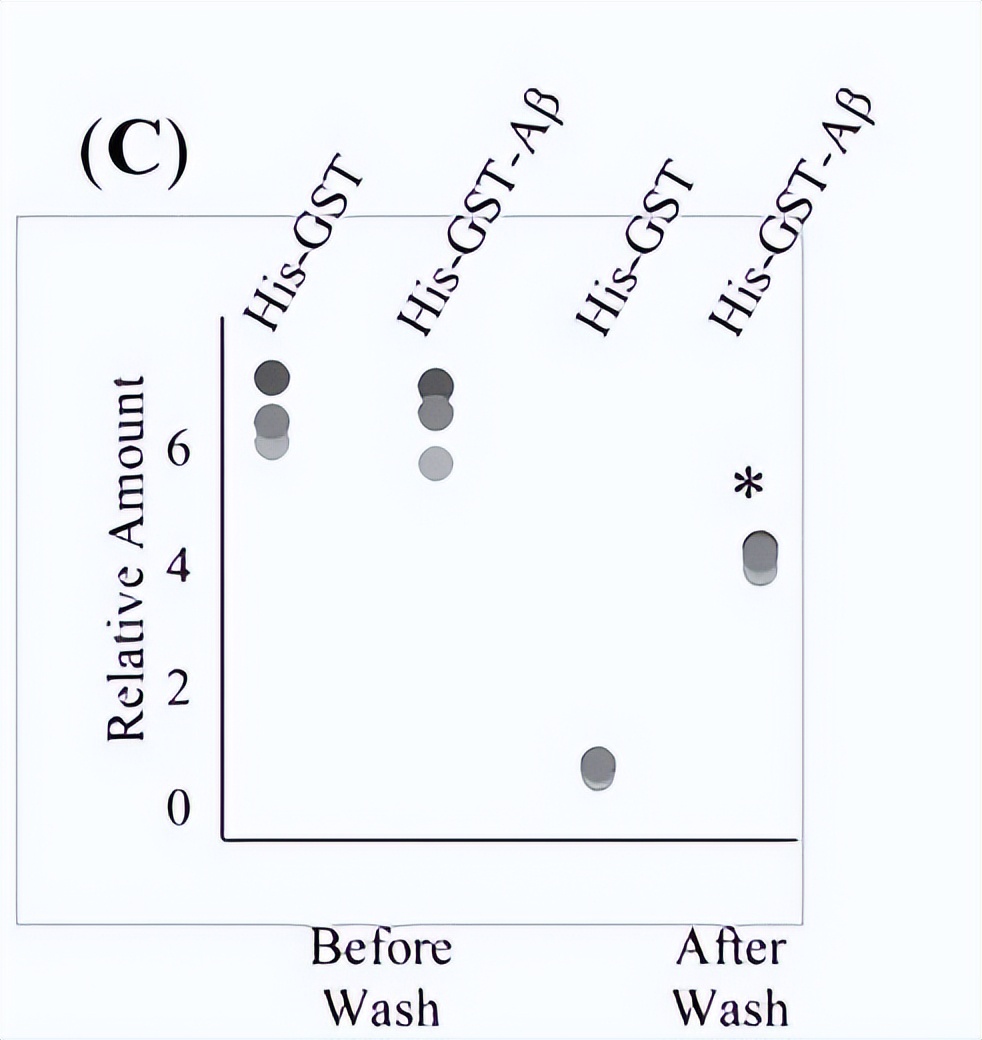 Mitochondrial accumulation of amyloid β (Aβ) peptide requires TOMM22 as ...