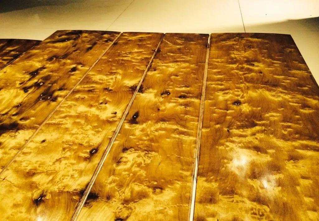 Golden nanmu is so precious, why are few people planting it? - iNEWS