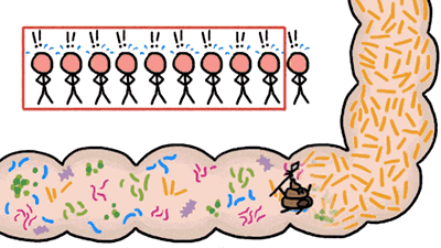 After you hold your fart back, where does it go?The most stinky science ...