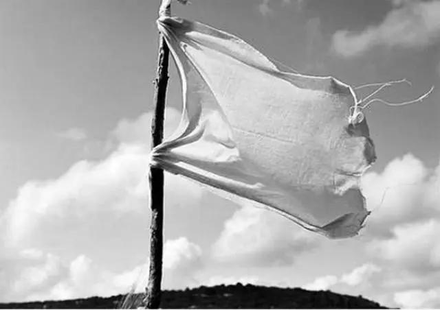 Why do you have to raise the white flag to surrender? How did it ...