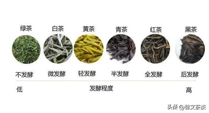 "Xinwen Tea Talk" The Yin and Yang of the Six Tea Types - iNEWS