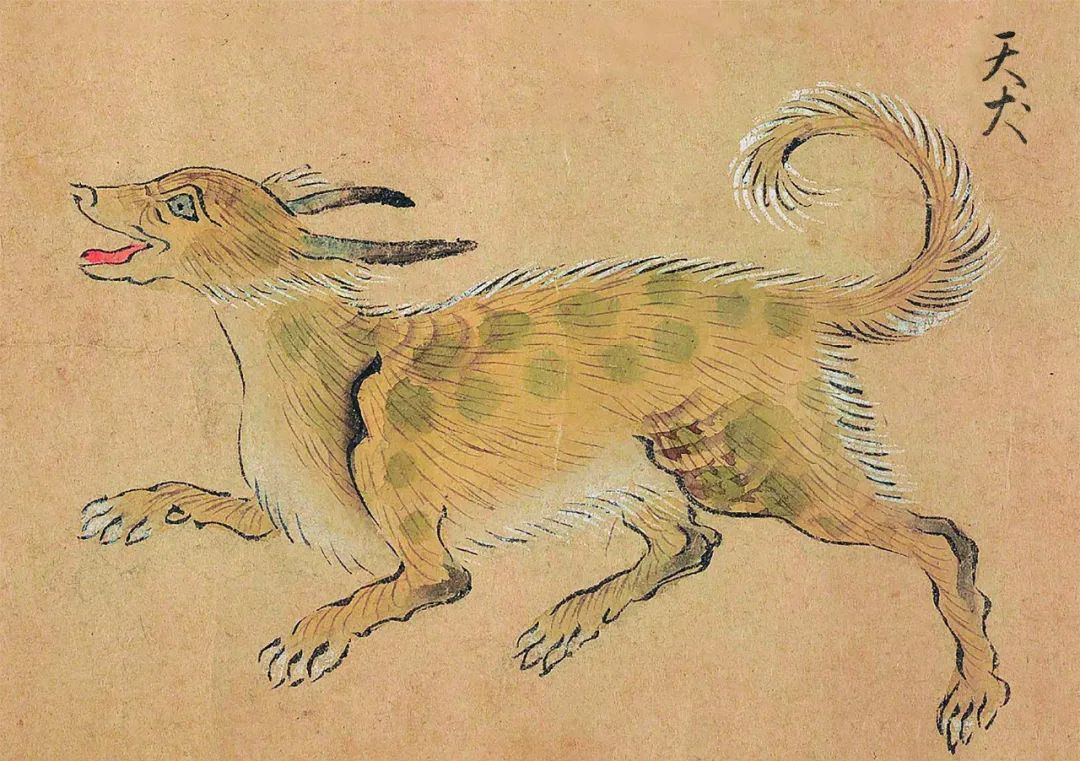 Who turned "Tengu" into a beast? - iNEWS