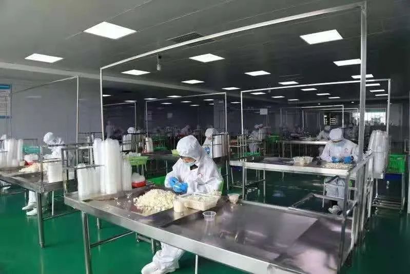 Stir-fried donkey meat with lily, tender and juicy, authentic and ...