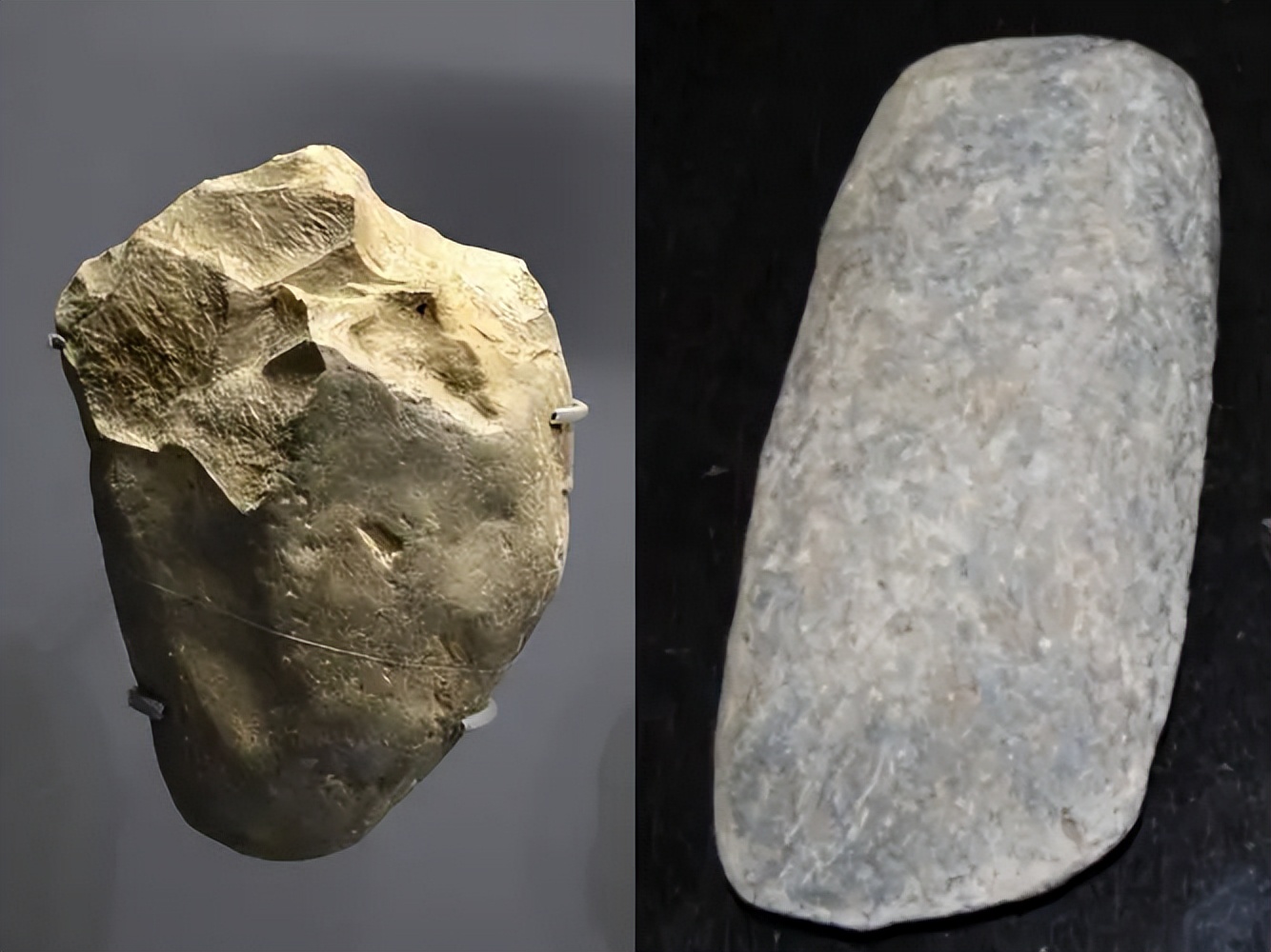 How did Neolithic culture develop? What is their lifestyle like? - iNEWS