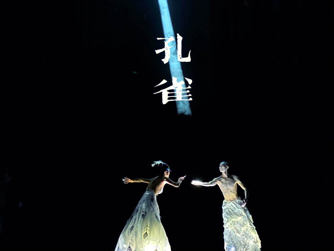 This time, Yang Liping's bald peacock dance caused controversy and ...