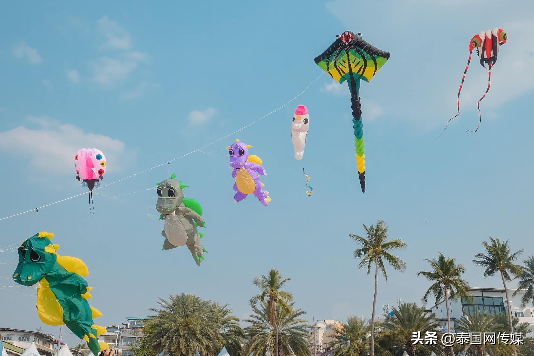Thailand's Pattaya Kite Festival is expected to generate 150 million ...