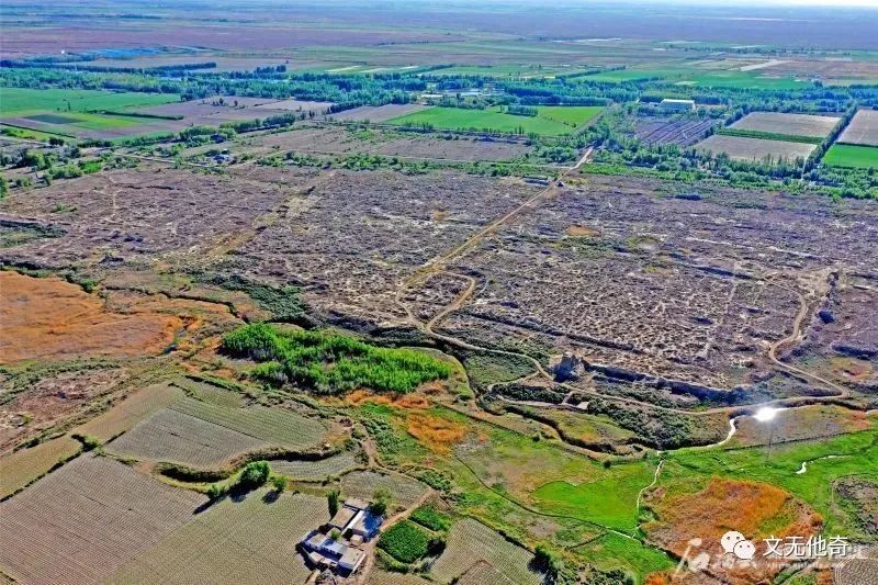 Hundred Topics in History (49) Strolling in the old city of Beiting - iNEWS