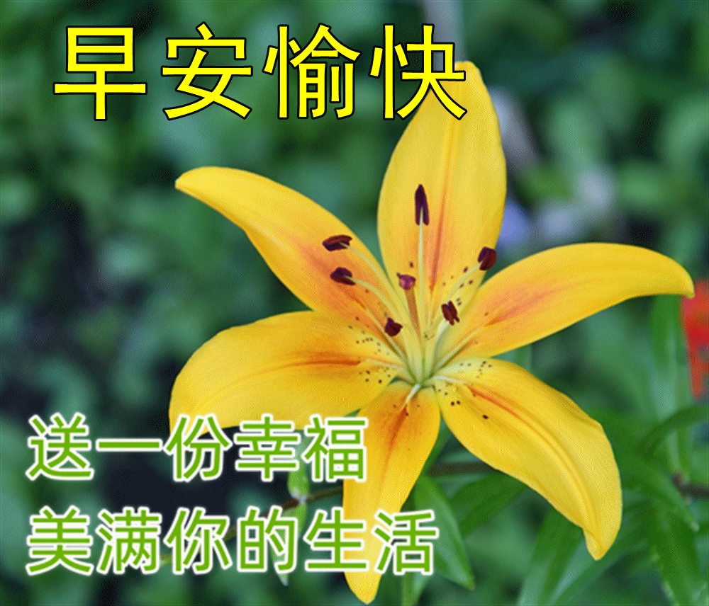 每個人都有自己的人生 資訊咖