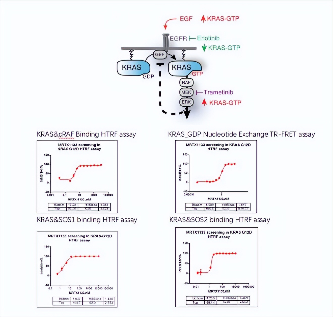 Kinogram Screening Service - iMedia