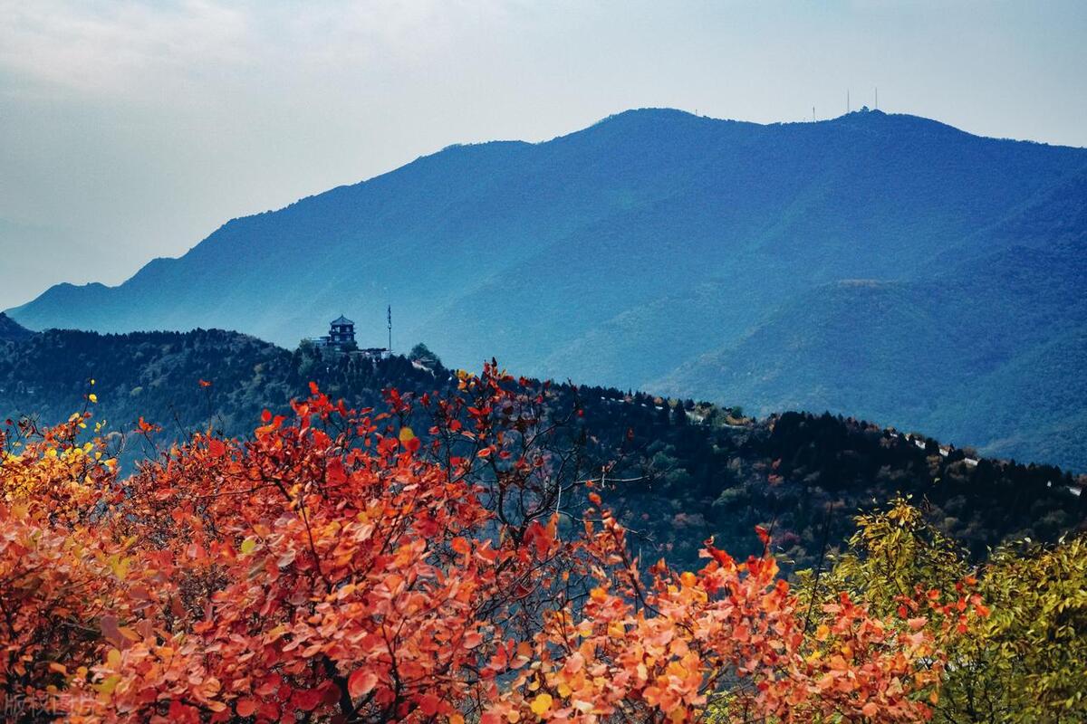 The origin of Xiangshan's "Dream Spring" and "Shuangqing" - iNEWS