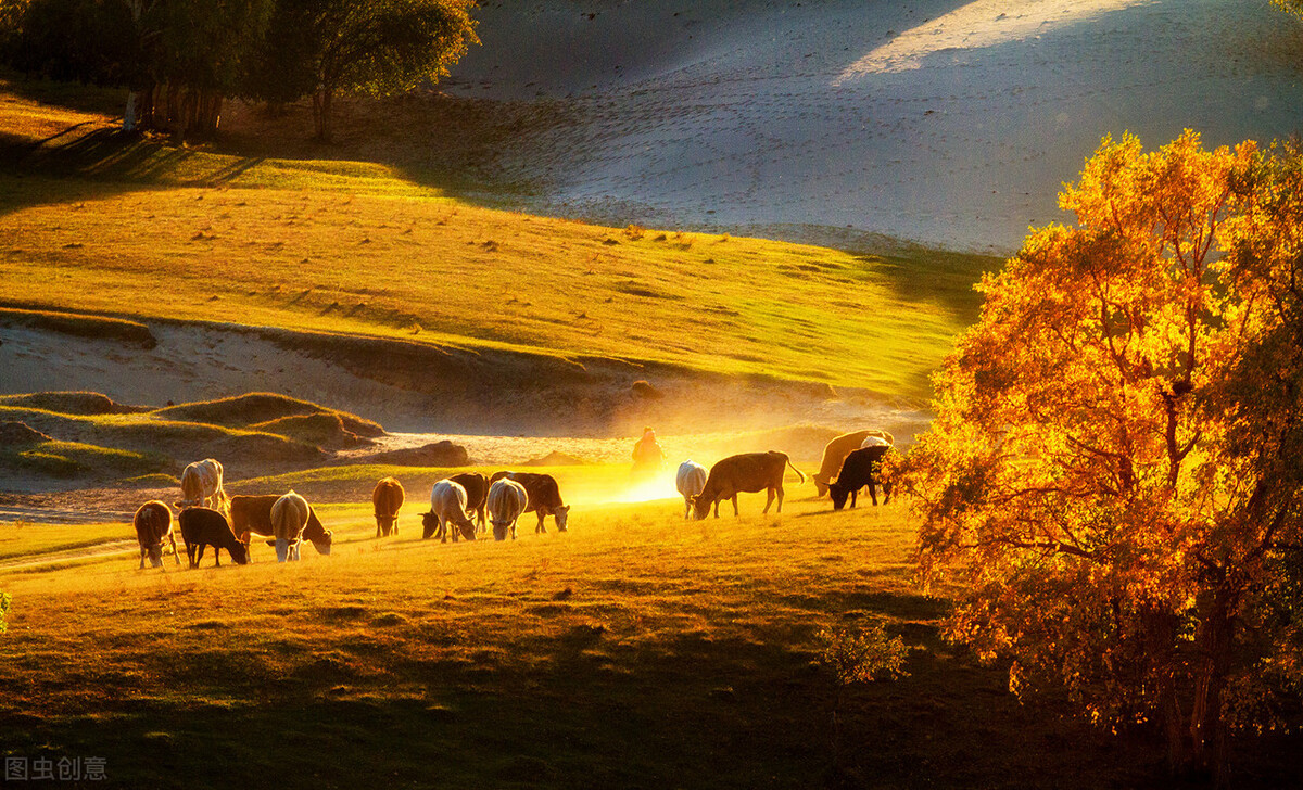 Bai Lang's Hometown Tour - iNEWS