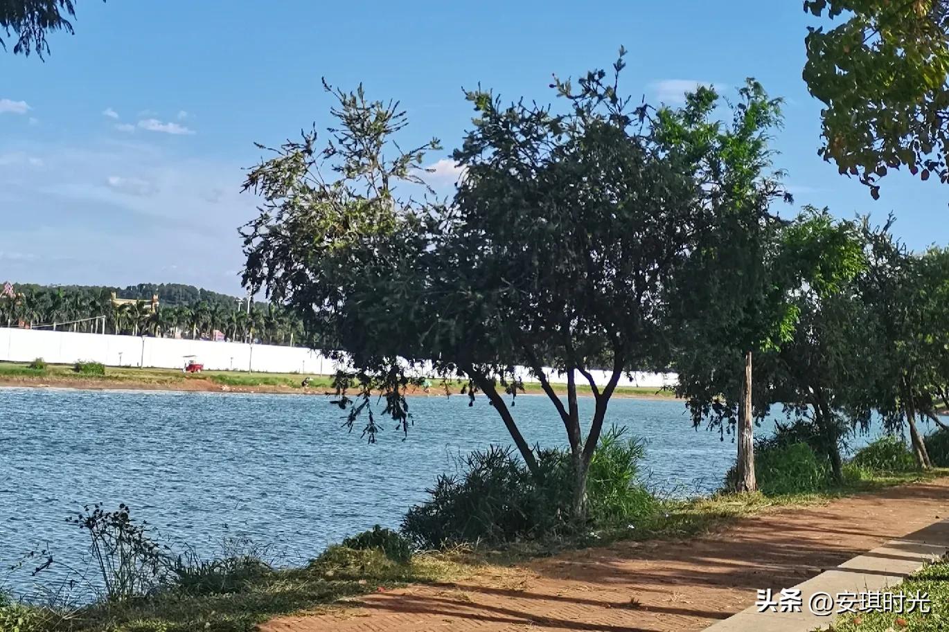 summer life happy hour - iNEWS