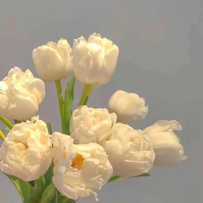 Reading "Letter from a Strange Woman" - iNEWS