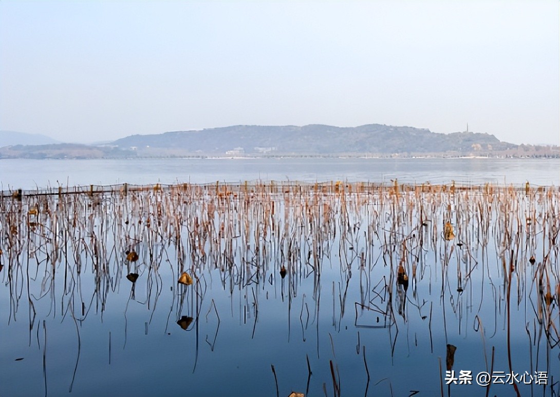 In Bai Juyi's "Early Winter", the couplets use lianzhu pairs, and the ...