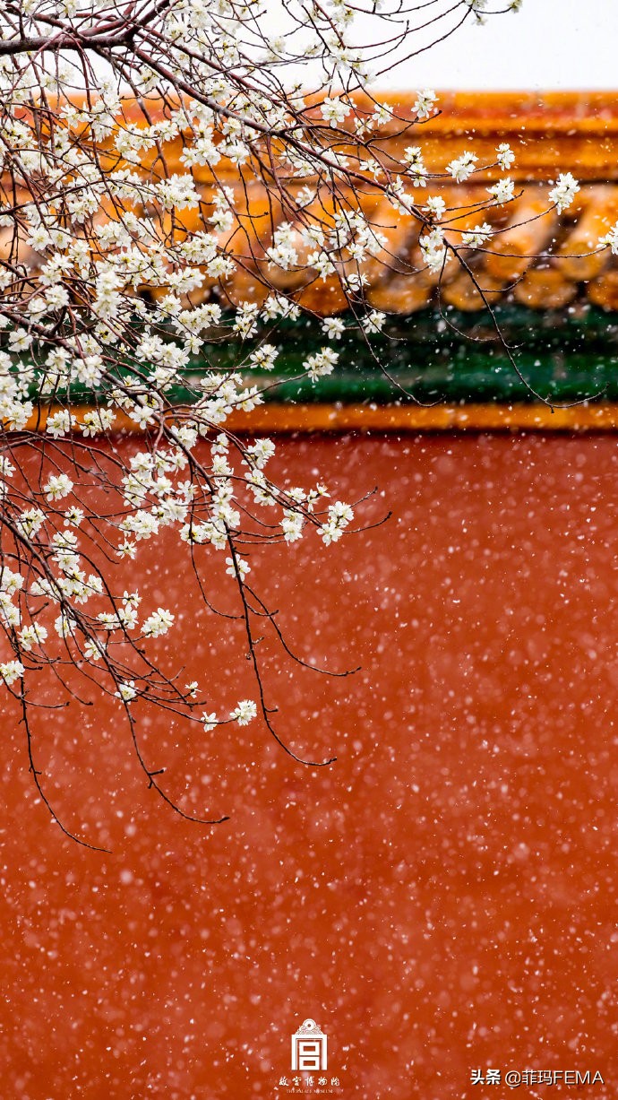 How beautiful the colors of the Forbidden City are, you will know after ...