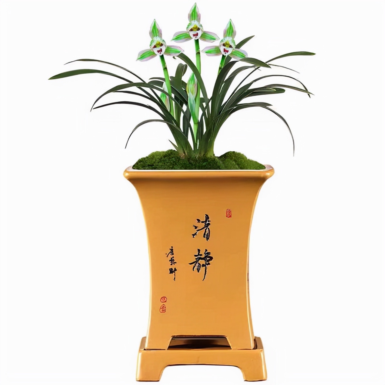The imperial concubine is very imperial temperament, beautiful and ...