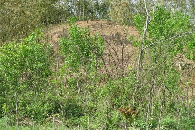 Mound Tombs in Jurong - iNEWS