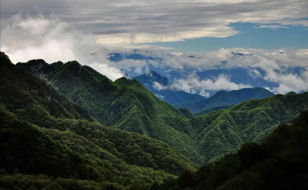 Why is the Qinling Mountains called the "Chinese Dragon Vein"? It's ...