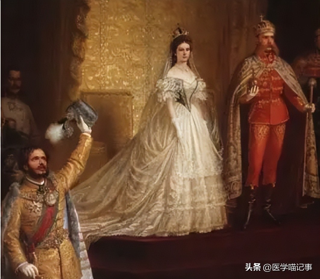 The Rise, Expansion and Collapse of the Austro-Hungarian Empire ...