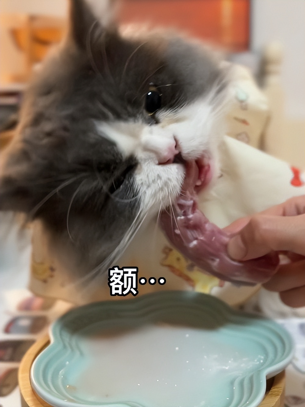 Can cats eat duck necks? There is nothing wrong with cats occasionally ...