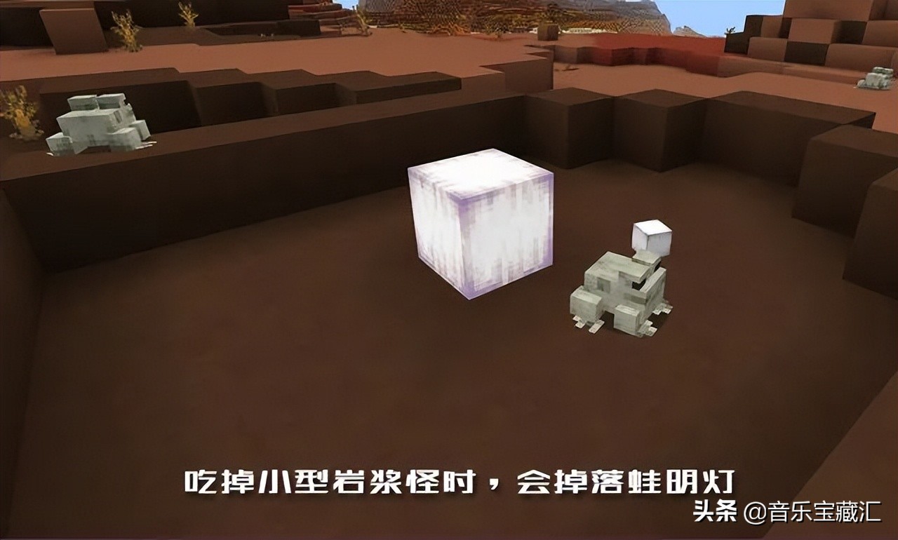 "Minecraft" 1.19 update: how much do you know about frogs in the new ...