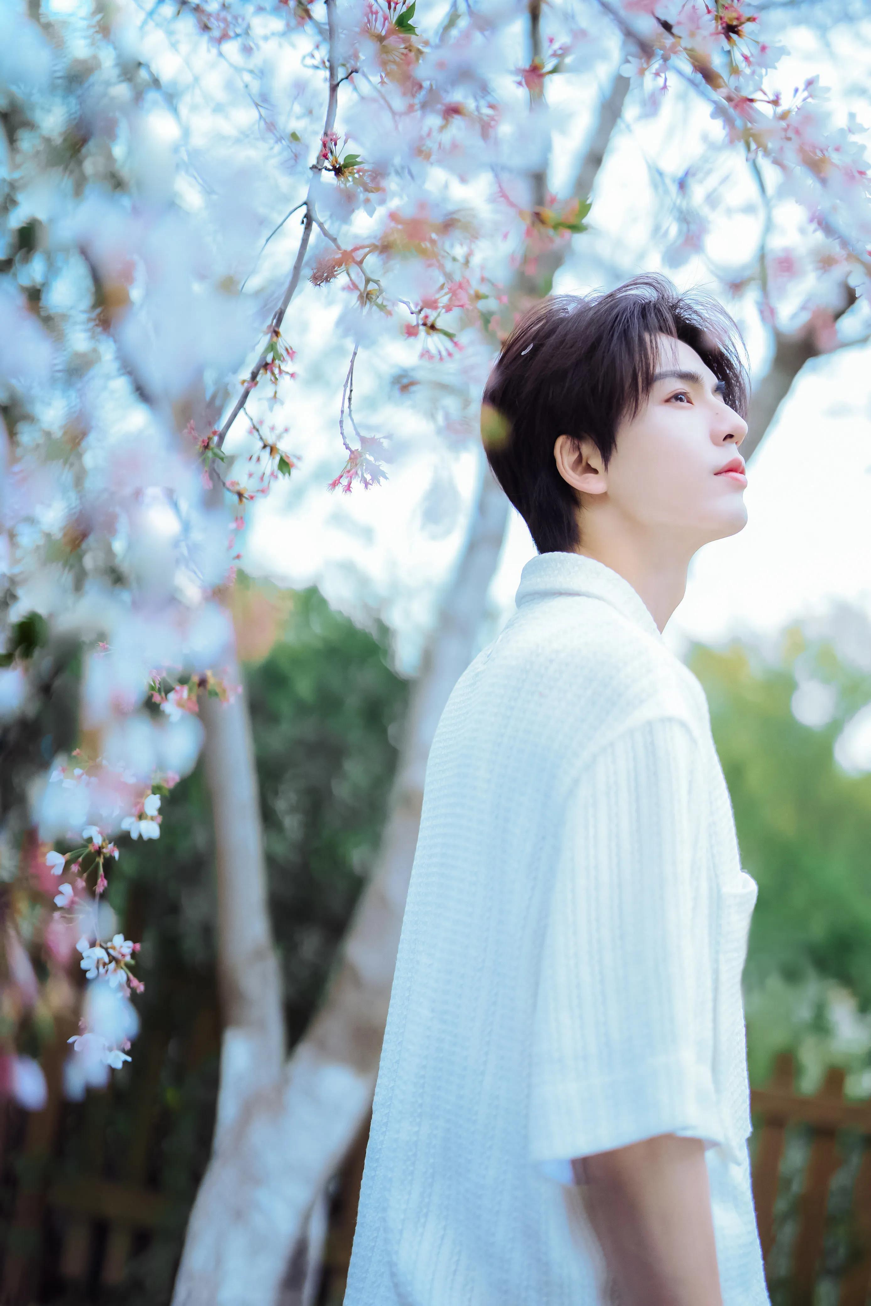 Zhang Linghe · Facing the light of April and meeting the gentle boy ...