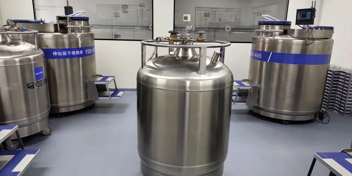 Frozen organs have been successfully transplanted. Is it possible to ...