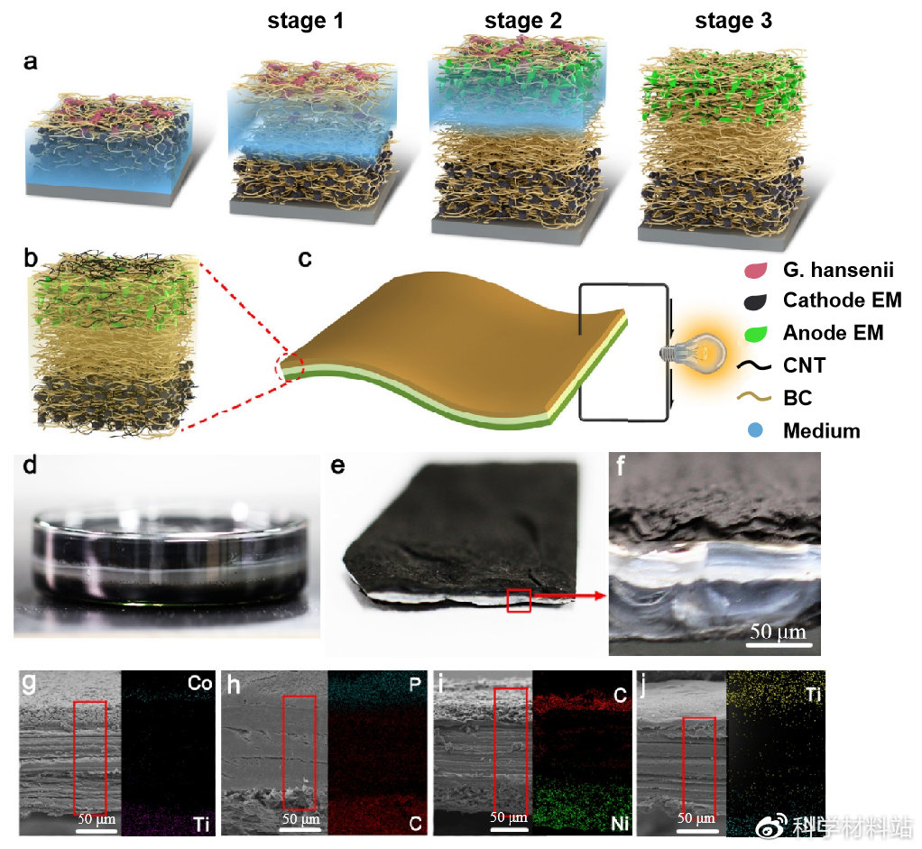 "Tailor-made" integrated high-performance flexible lithium battery ...