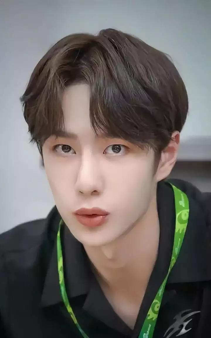 He is Hao Lei's ex-husband, he chased after Wang Luodan, and he was ...