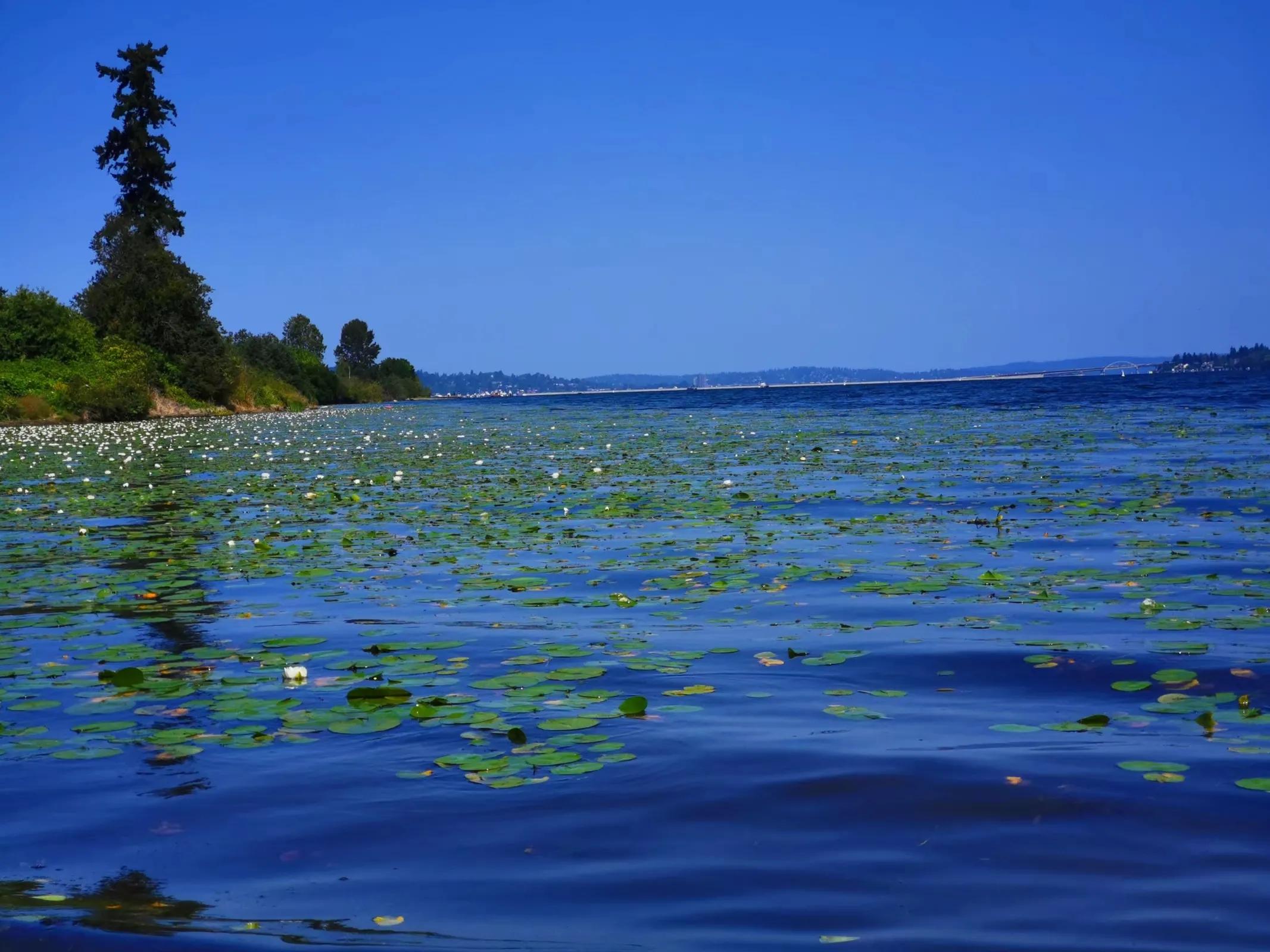 Changing Scenery Poems and Dramas (Seven Absolutes and Seven Poems ...