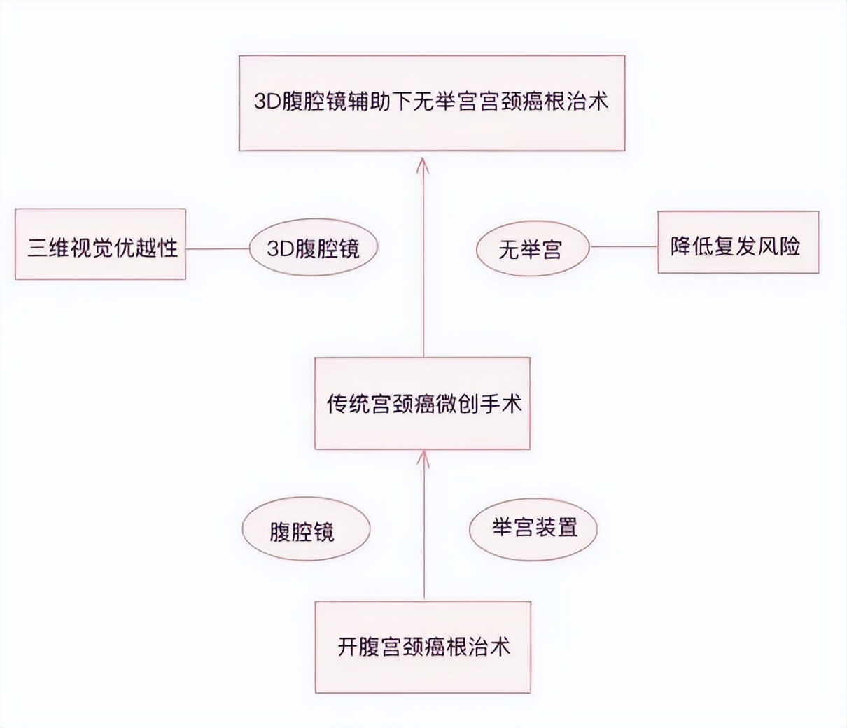3D Laparoscopic Radical Surgery for Cervical Cancer Without Lifting ...