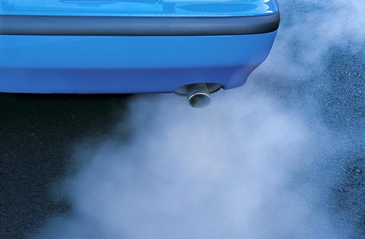 "Level 1 carcinogen" was uncovered, WHO appealed: please stop eating ...