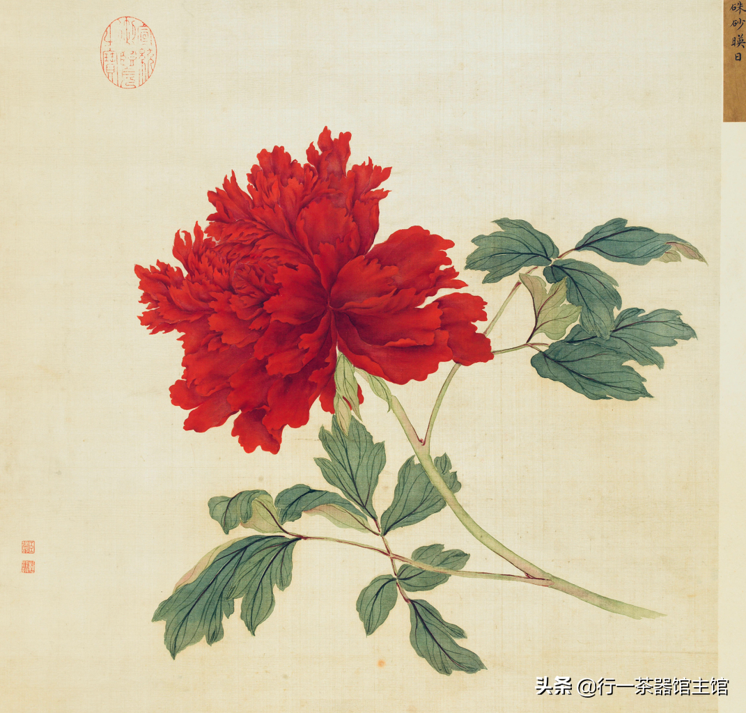 Unparalleled in the world, the first flower in the world - iNEWS