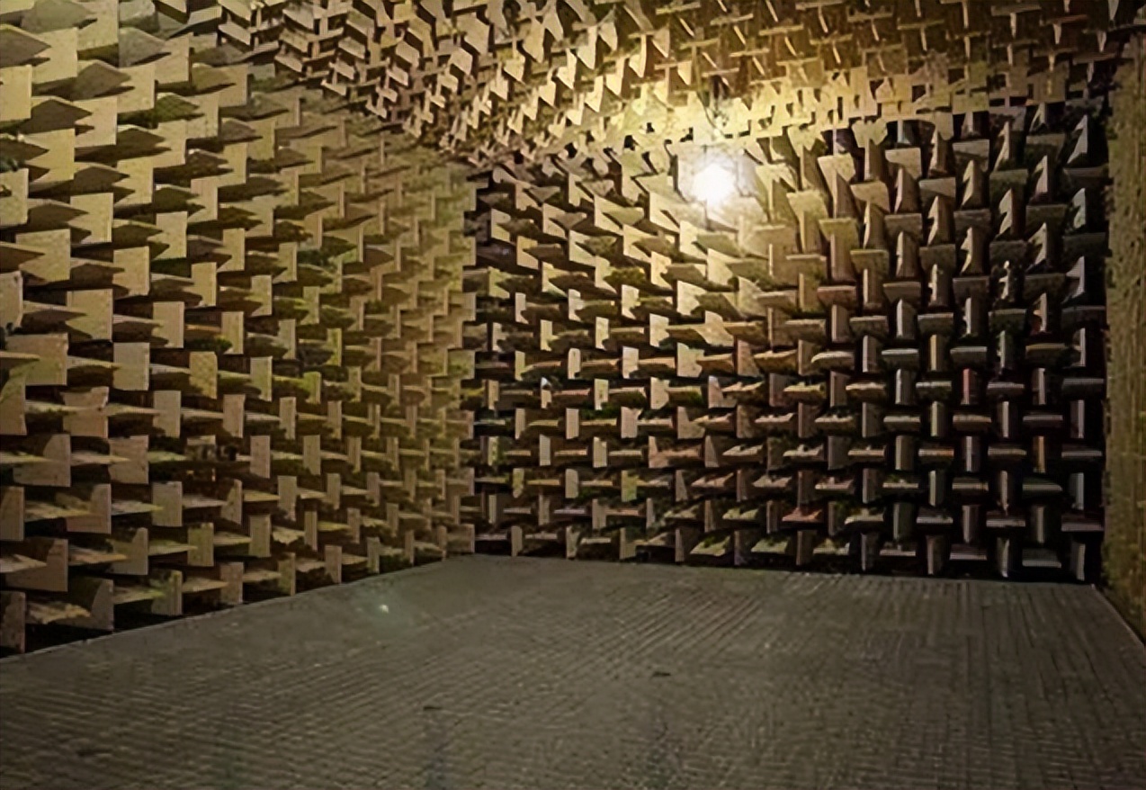 Absolutely silent room challenge, the prize money is huge, but no one ...