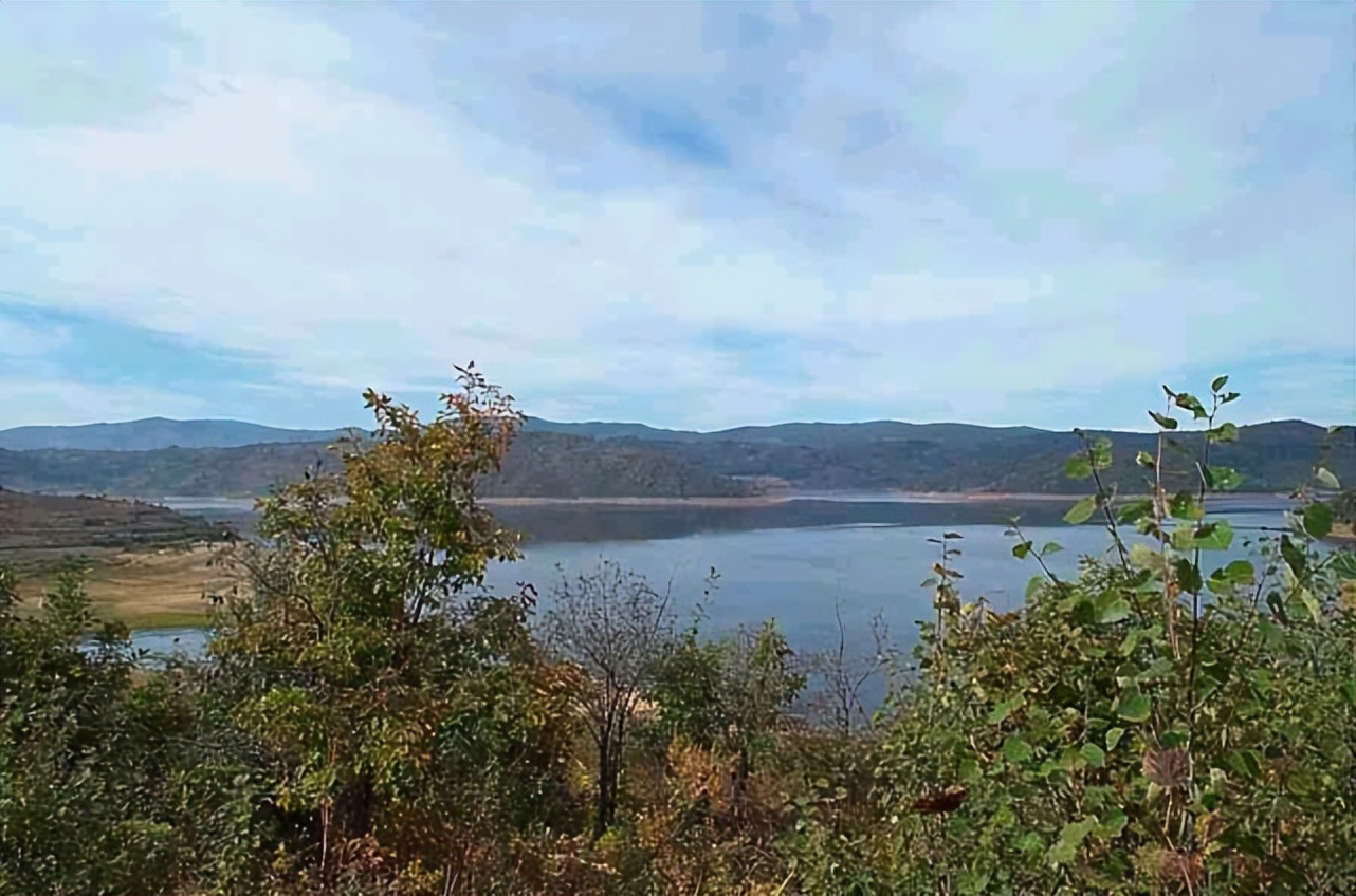 How did the 4-star general Walker overturn? - iMedia