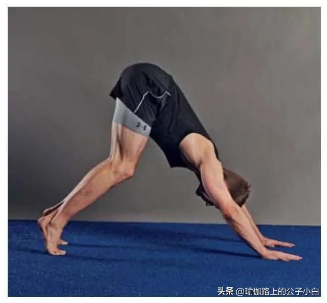 The practice of changing position of animal flow yoga - iNEWS