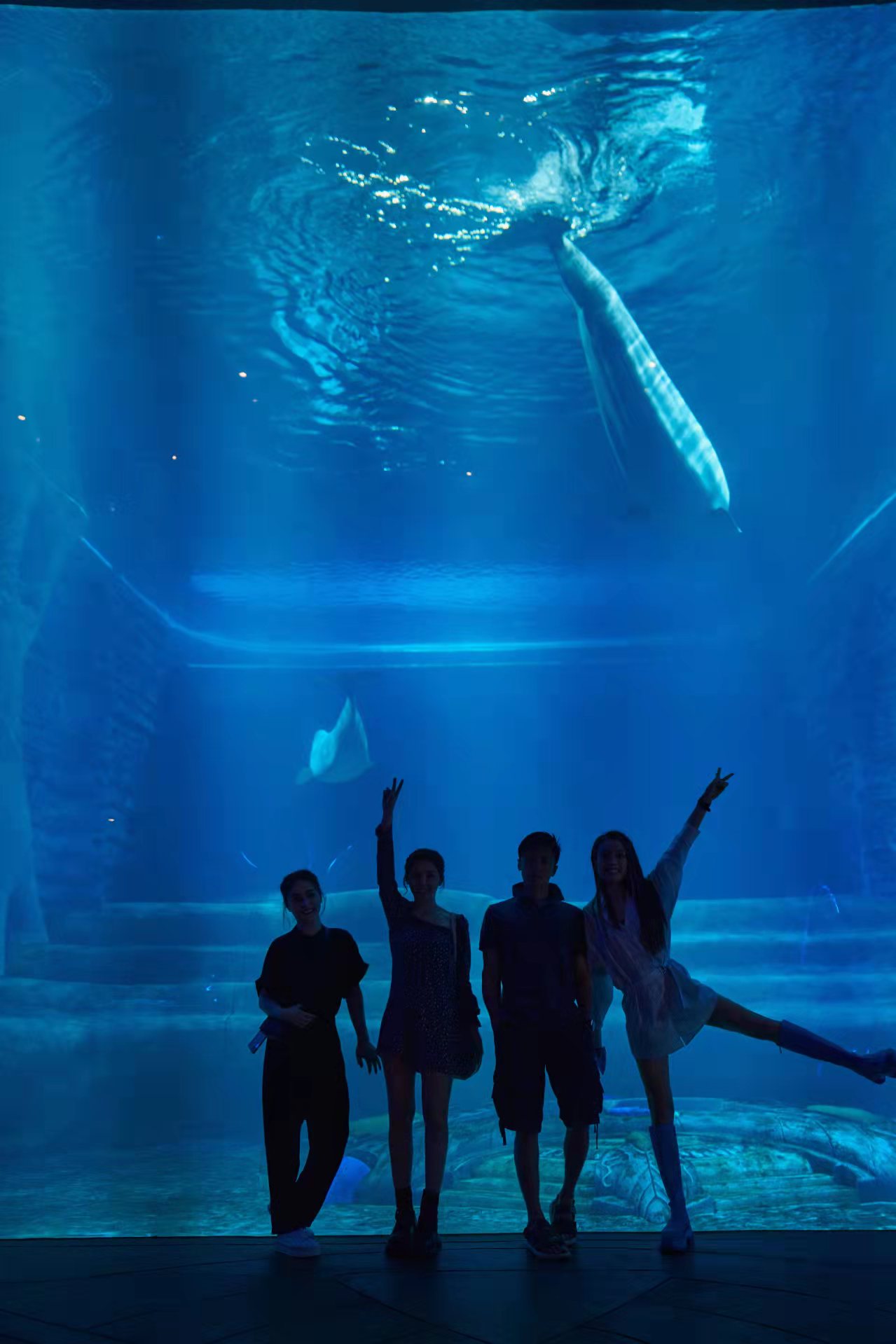 The theme song of Joey Yung Twins chorus "Yong Me Sa Jiao" in the hit ...