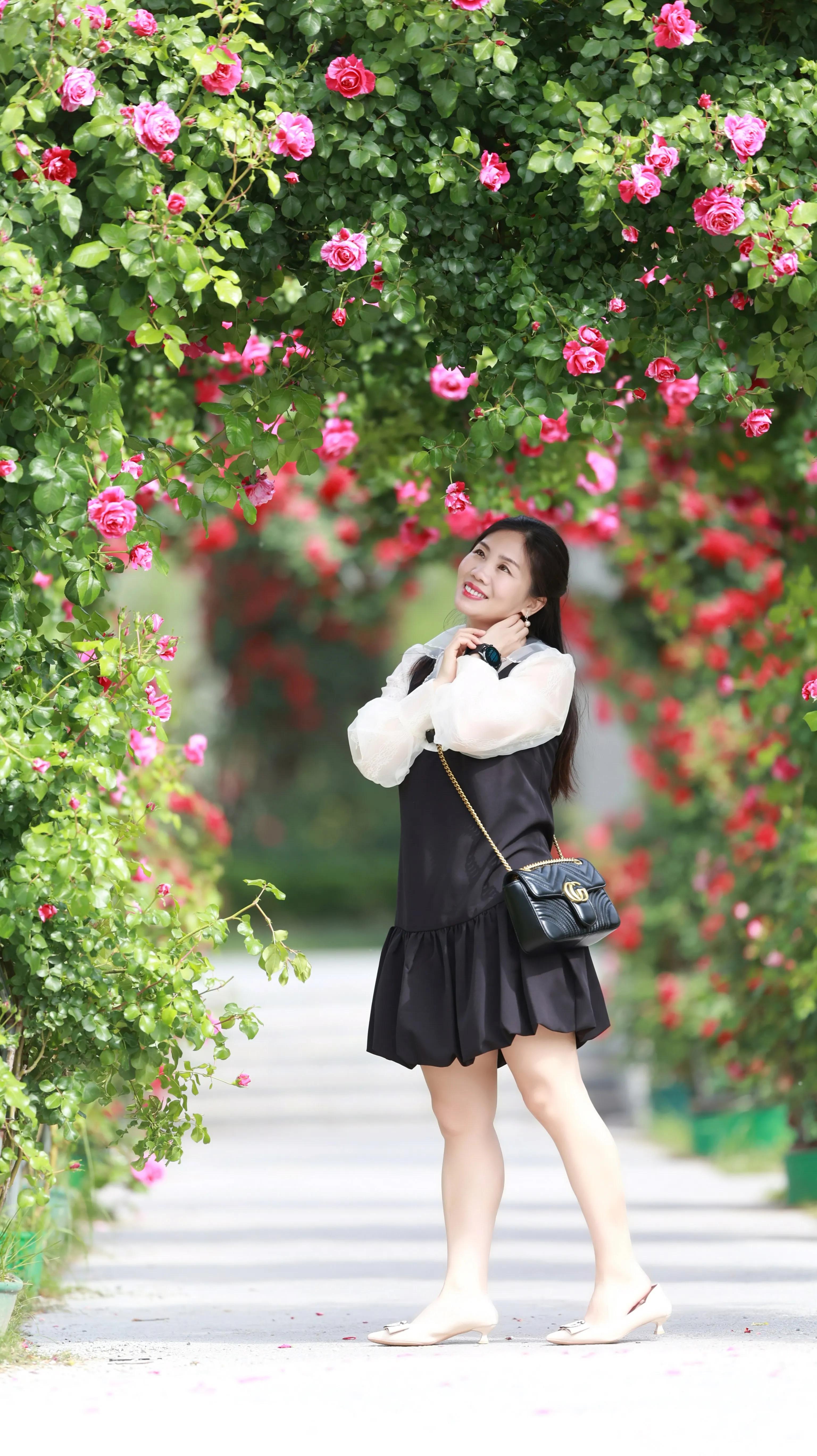 Let's talk about the techniques of shooting roses - iMedia