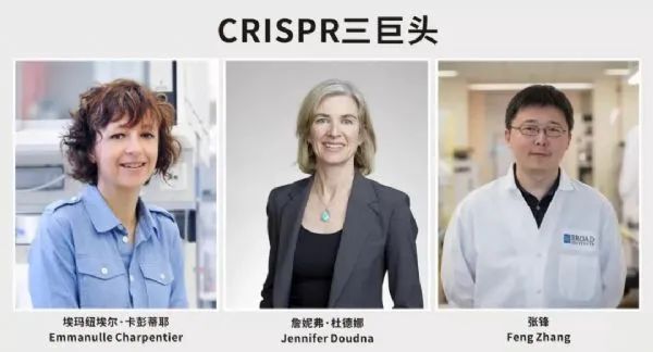 Gene editing Zhang Feng's team wins the case: no Nobel Prize wins ...